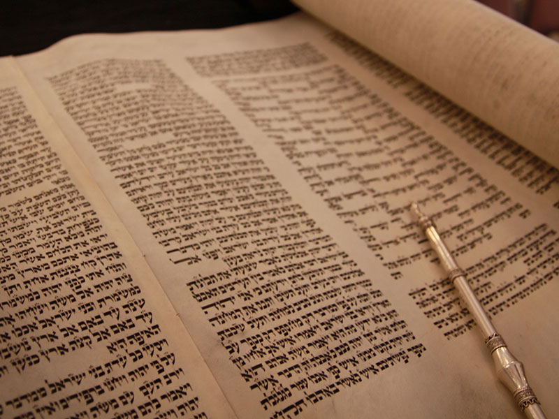 Home - Congregation Ner Tamid