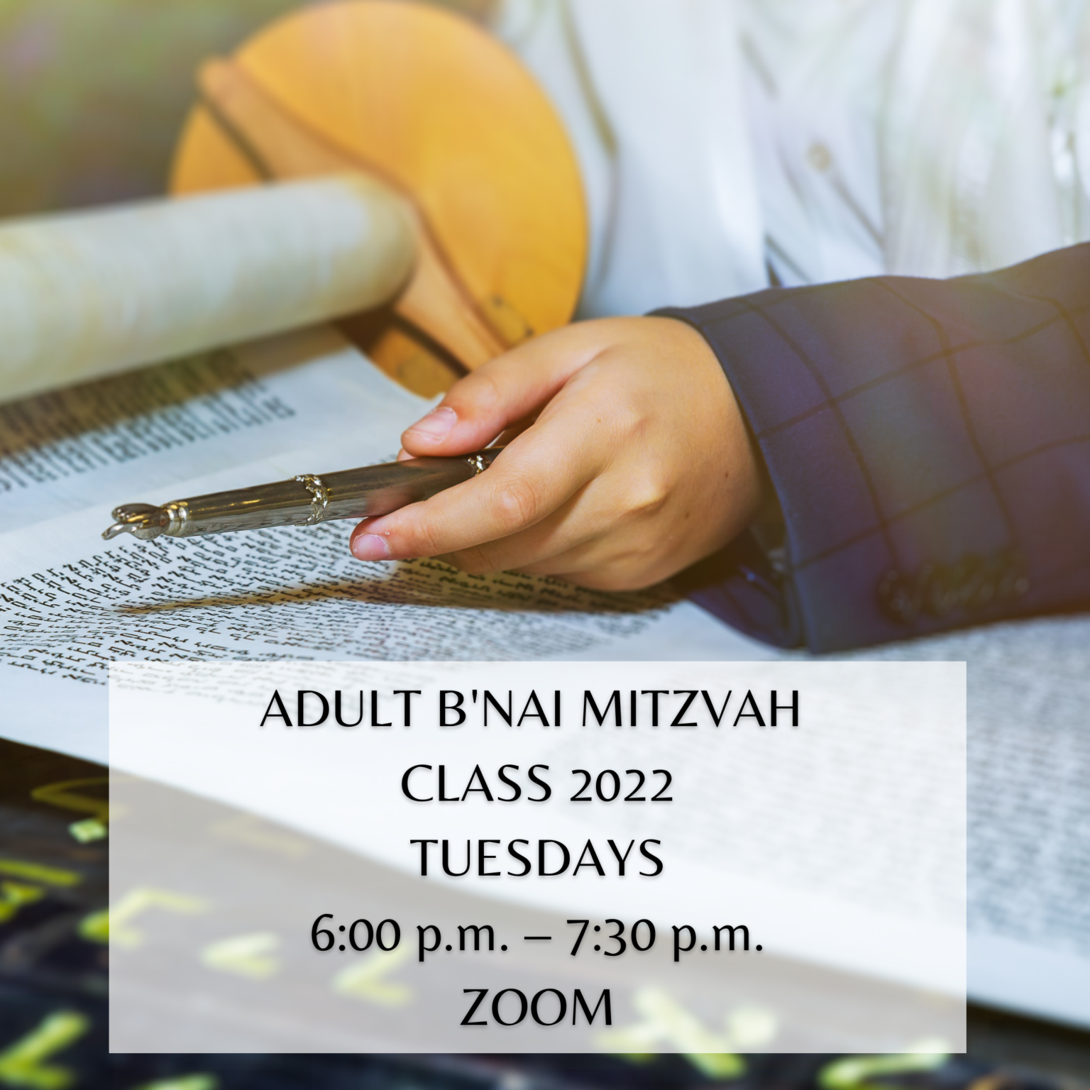 ADULT B’NAI MITZVAH CLASS 2022 | Congregation Ner Tamid - Reform Temple in Las Vegas ...